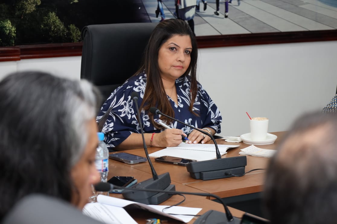 Desarrollan reunión #13 de la Junta del Proyecto del Plan de ...